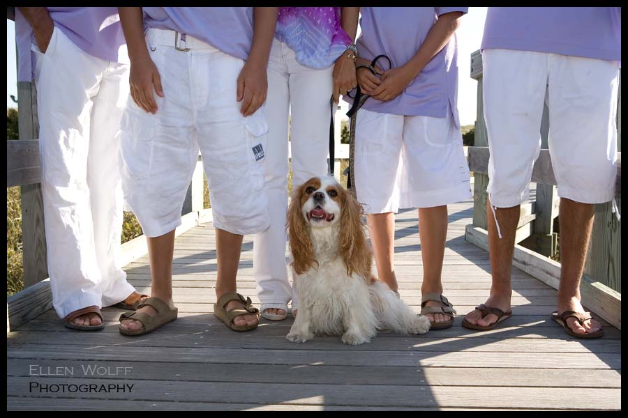 Ellen Wolff Photographer:Fire Island - Family portrait session - Ellen ...